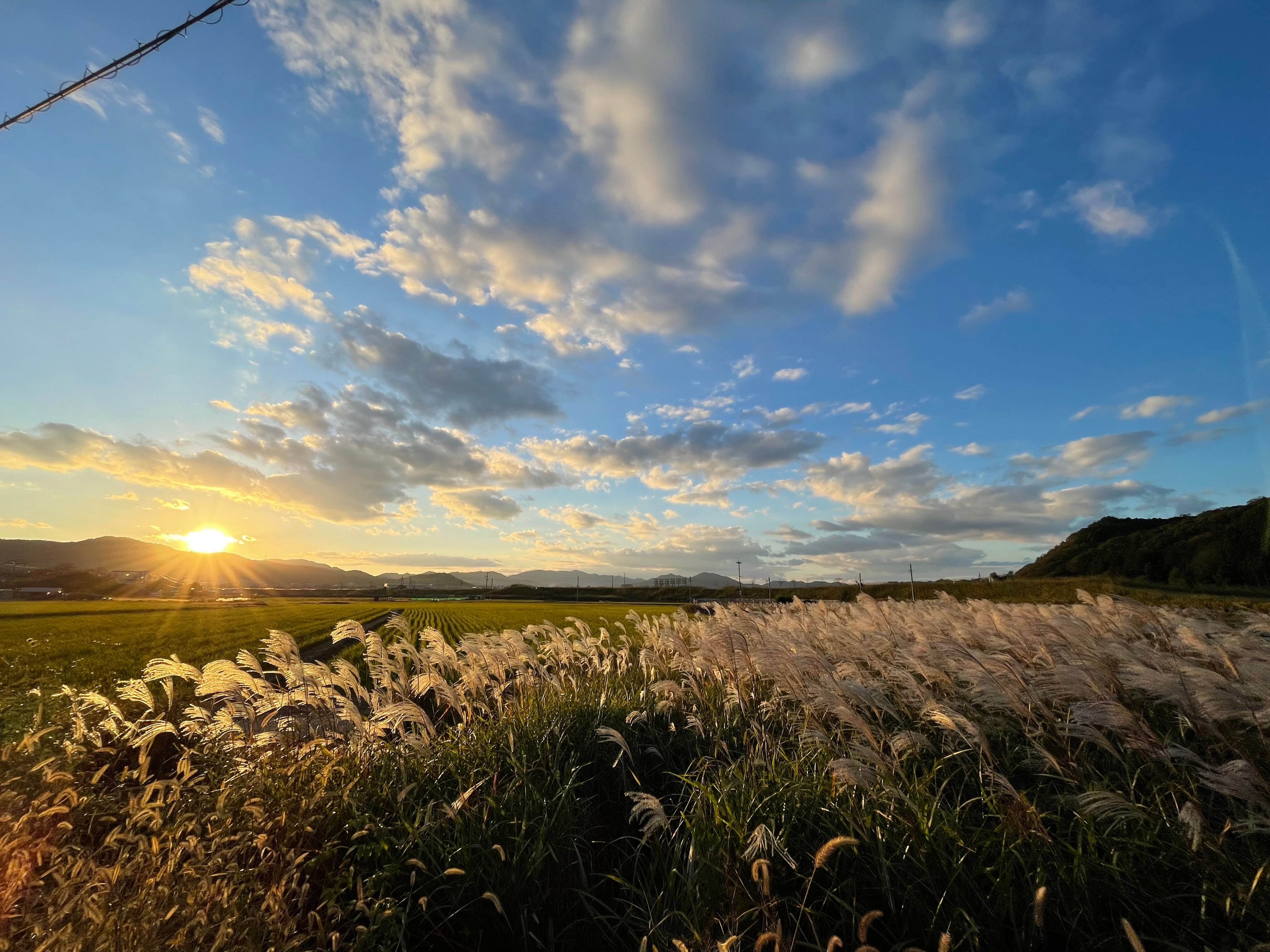 AVISTA Group | AVISTA Hong Kong & Shenzhen Company Reward Trip 2023 ...